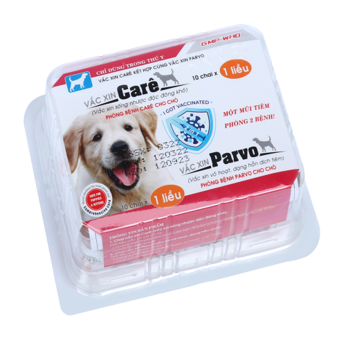 Bệnh Care và Parvo ở chó: Nguyên Nhân, Triệu Chứng và Phương Pháp Phòng ...